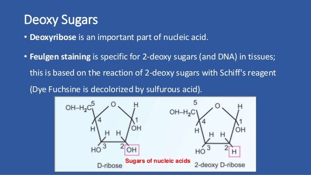 Chemistry of carbohydrates