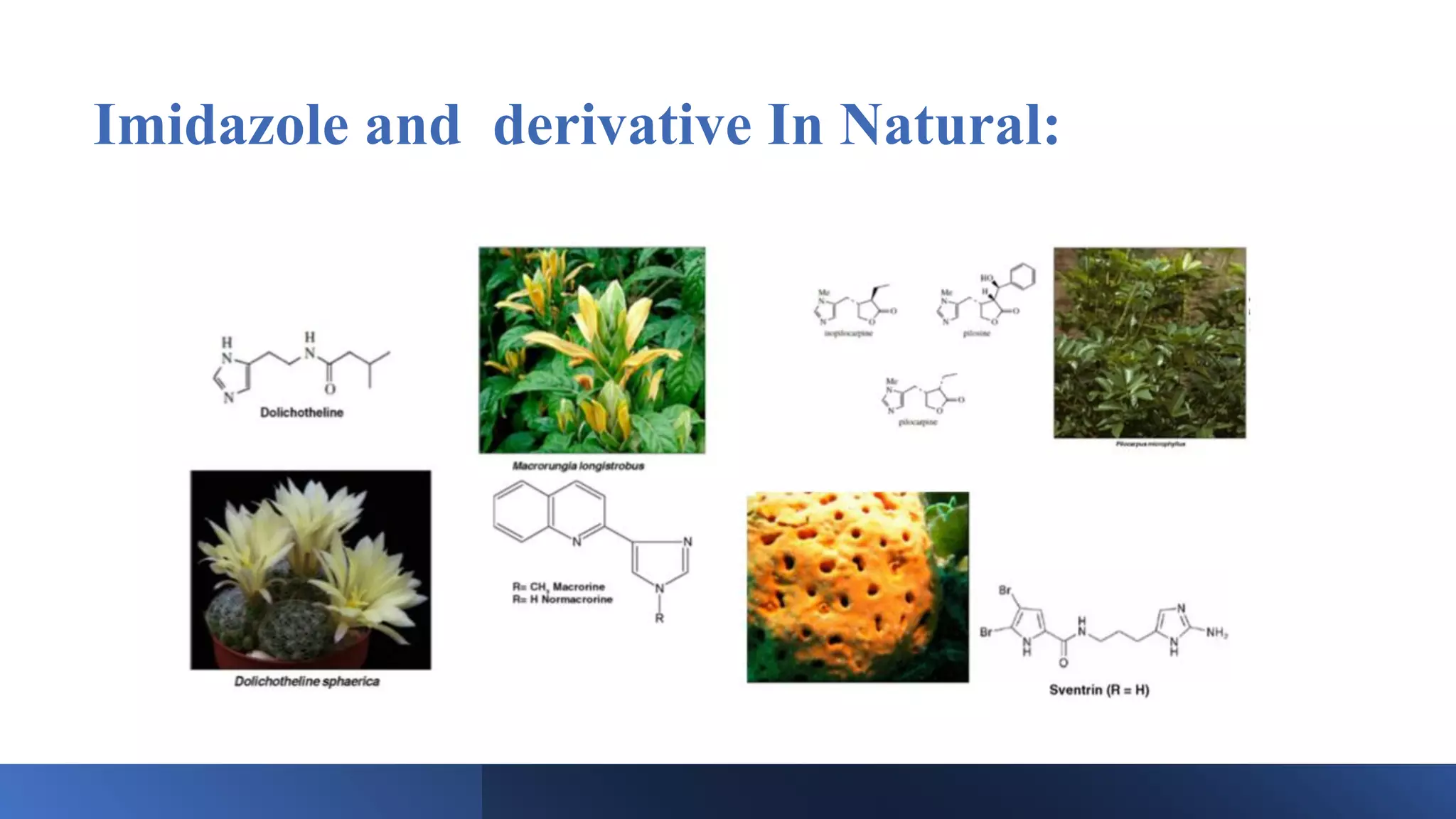 Chemistry of 1,3-Azoles.pdf