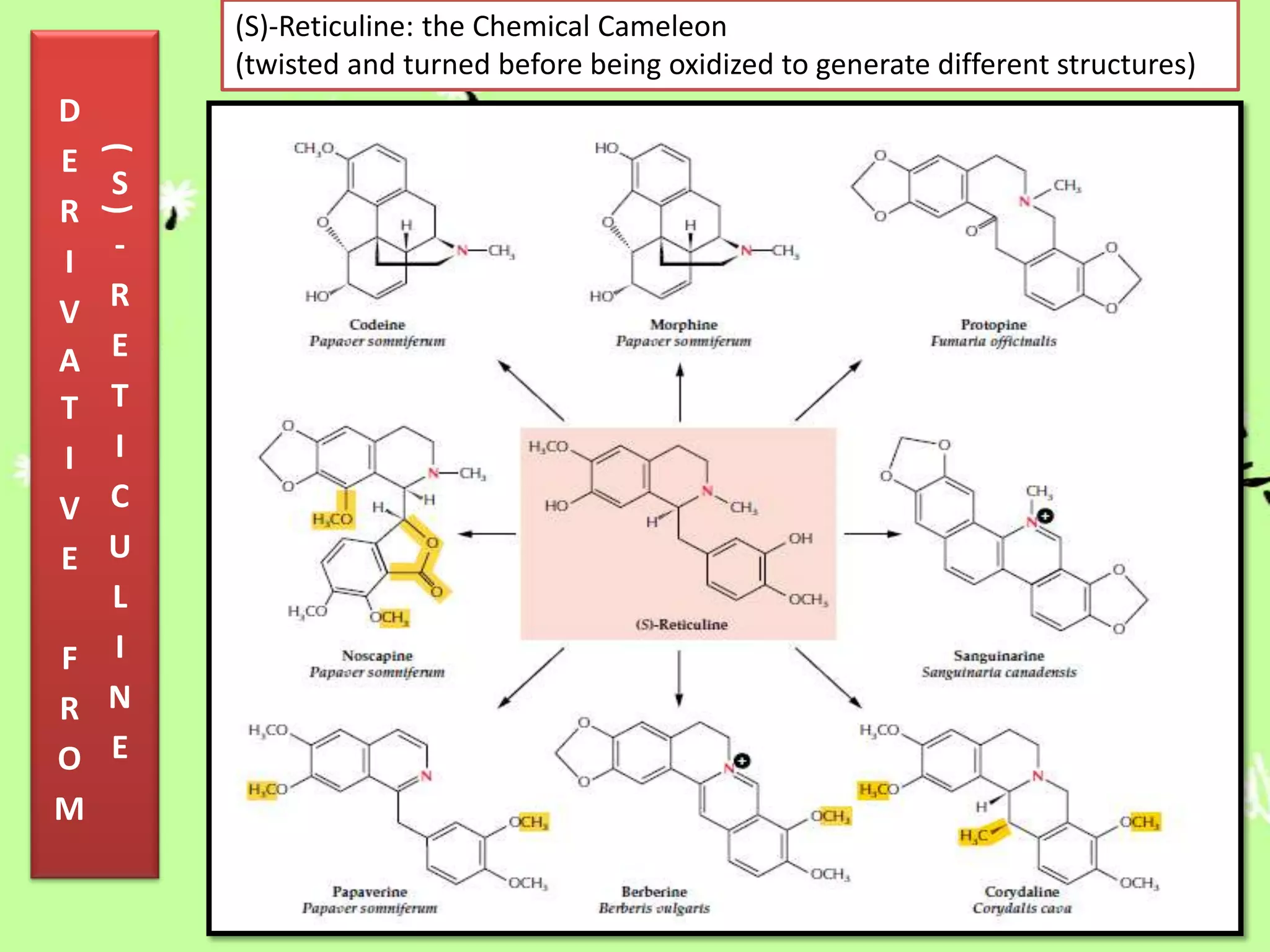 Chemistry of alkaloid | PPTX