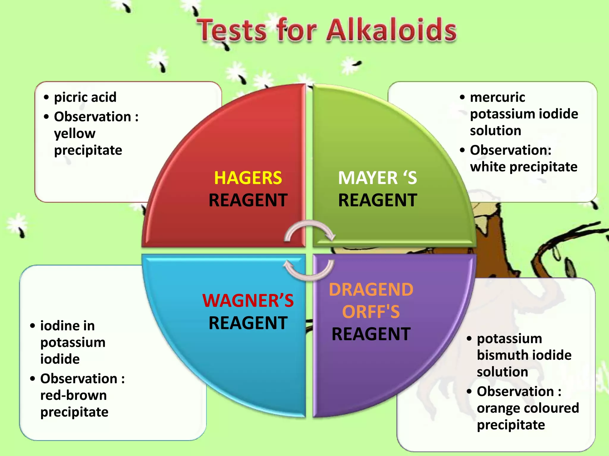Chemistry of alkaloid | PPTX