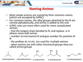 Chemistry of amines | PPTX