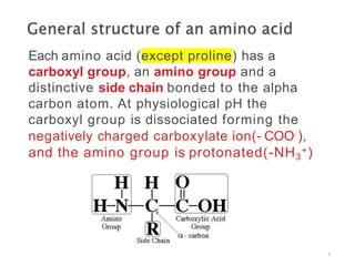 chemistry of amino acid and proteins.pptx | Chemistry | Science