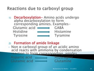 Amino Acid Examples