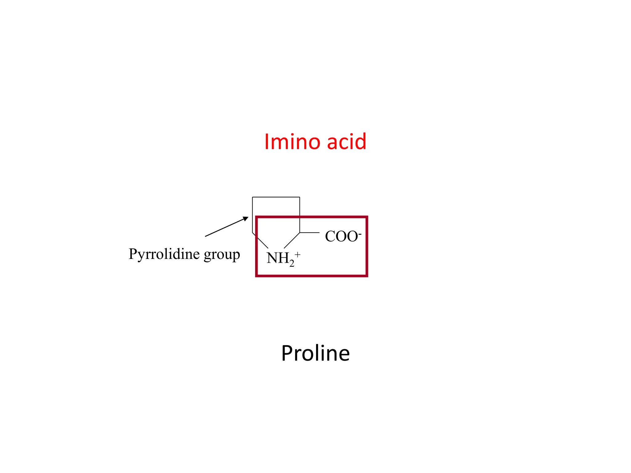 chemistry of amino acids and proteins for I AHS.pdf