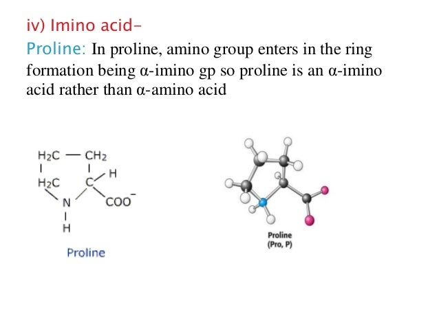 Chemistry of amino acids&proteins