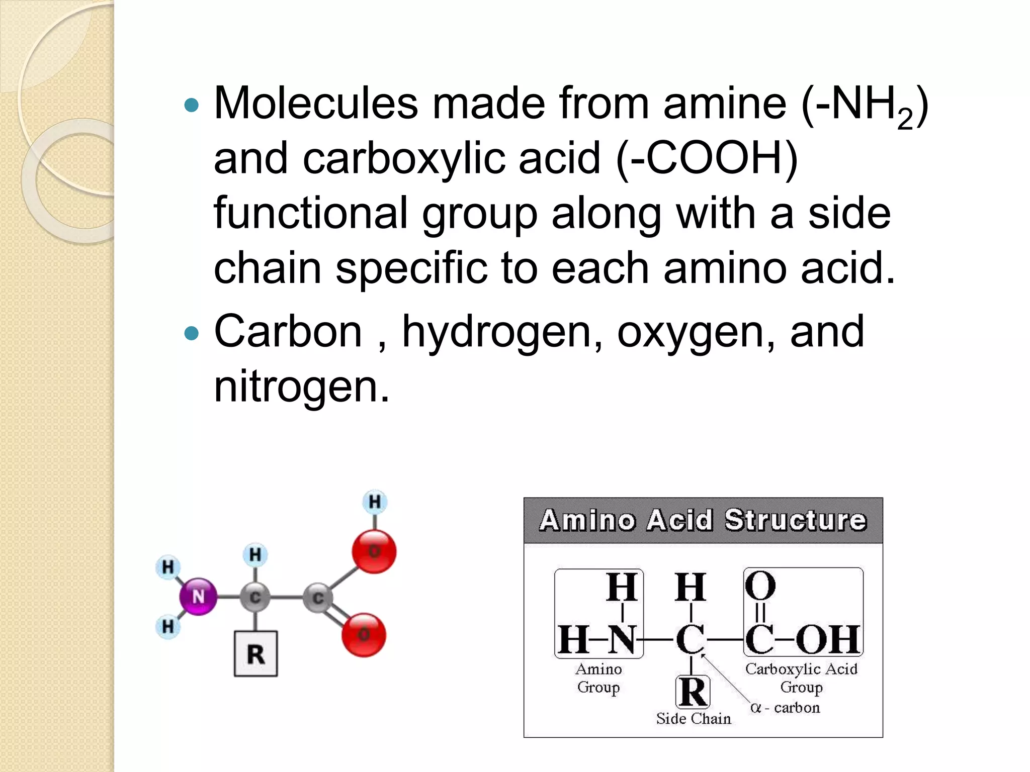 Amino acids and Protein chemistry by Dr. Anurag Yadav | PPTX