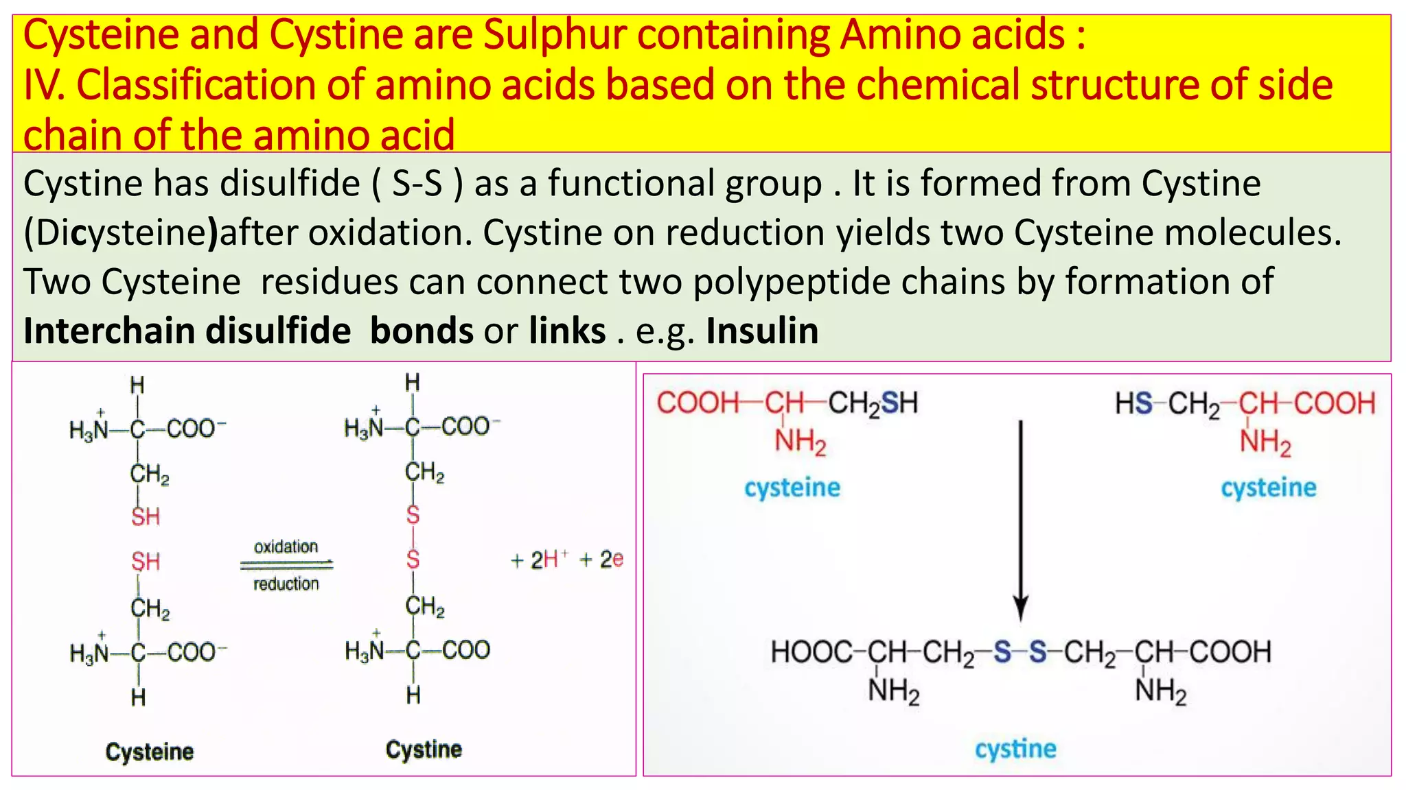 Chemistry of amino acids with their clinical applications | PDF