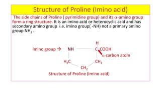Chemistry of amino acids with their clinical applications | PDF