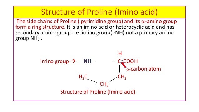 Chemistry of amino acids with their clinical applications