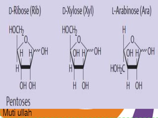 Arabinose Cyclic Structure