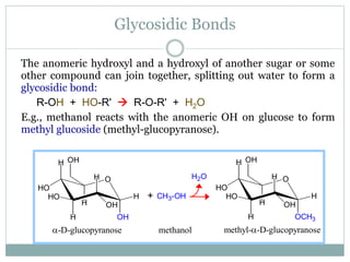 chemistry of carbohydrates | PPTX