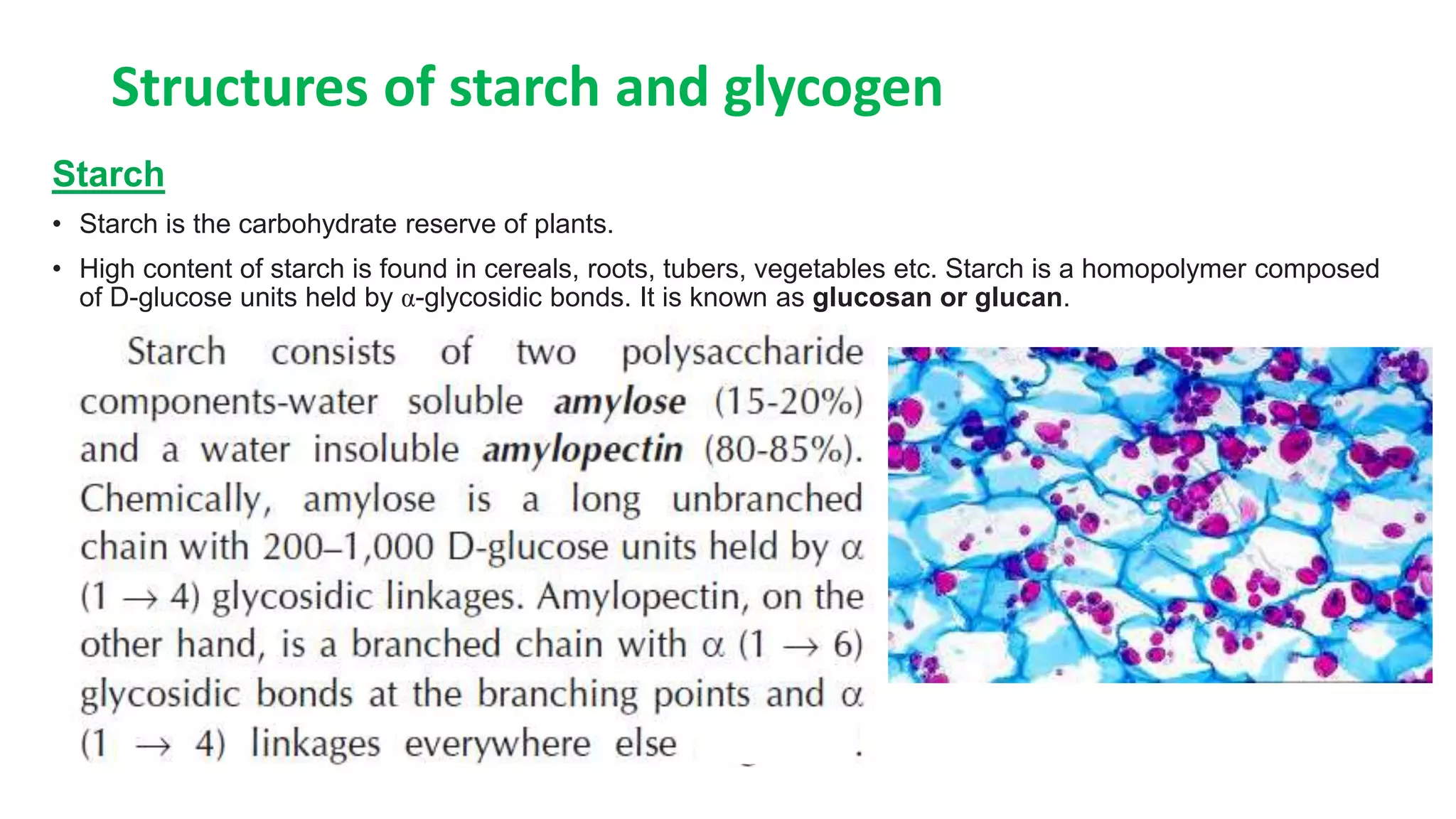 Chemistry of carbohydrates | PPTX