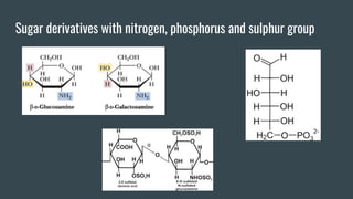 Chemistry of carbohydrates - General introduction and classification | PDF