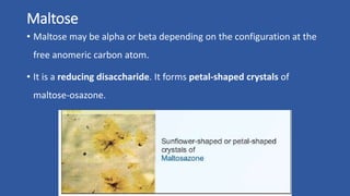 Chemistry of carbohydrates disaccharides | PPT