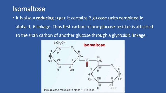 Isomaltose Properties