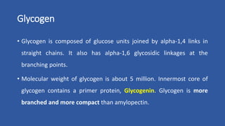 Chemistry of carbohydrates polysaccharides part -3 homoglycans | PPTX