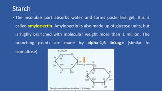 Chemistry of carbohydrates polysaccharides part -3 homoglycans | PPTX