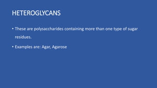 Chemistry of carbohydrates polysaccharides part 3 B heteroglycans | PPTX