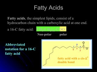 Chemistry Of Cells | PPT