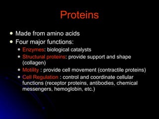 Chemistry Of Cells | PPT
