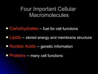 Chemistry Of Cells | PPT