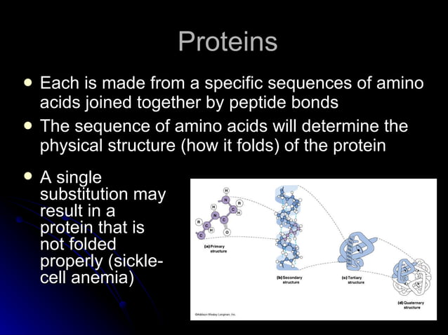Chemistry Of Cells | PPT