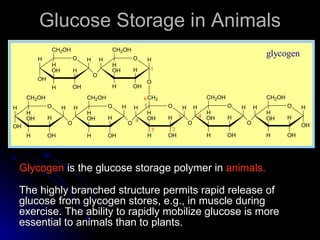 Chemistry Of Cells | PPT