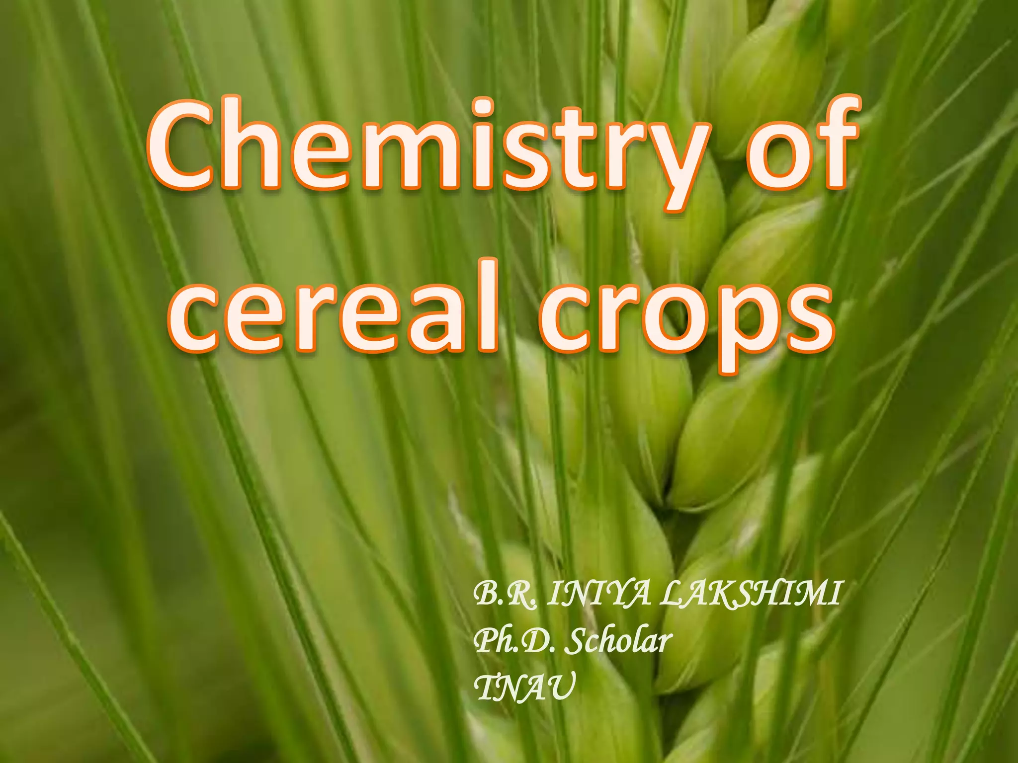 Chemistry of cereals | PPTX