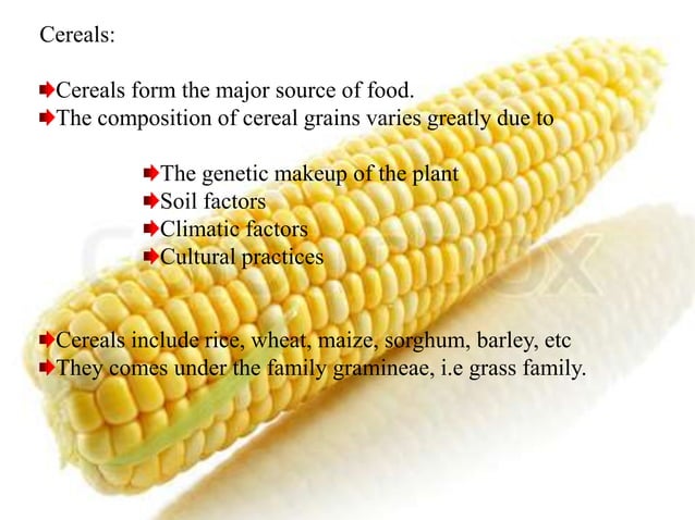 Chemistry of cereals | PPTX