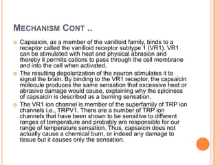 Chemistry of chillies | PPT