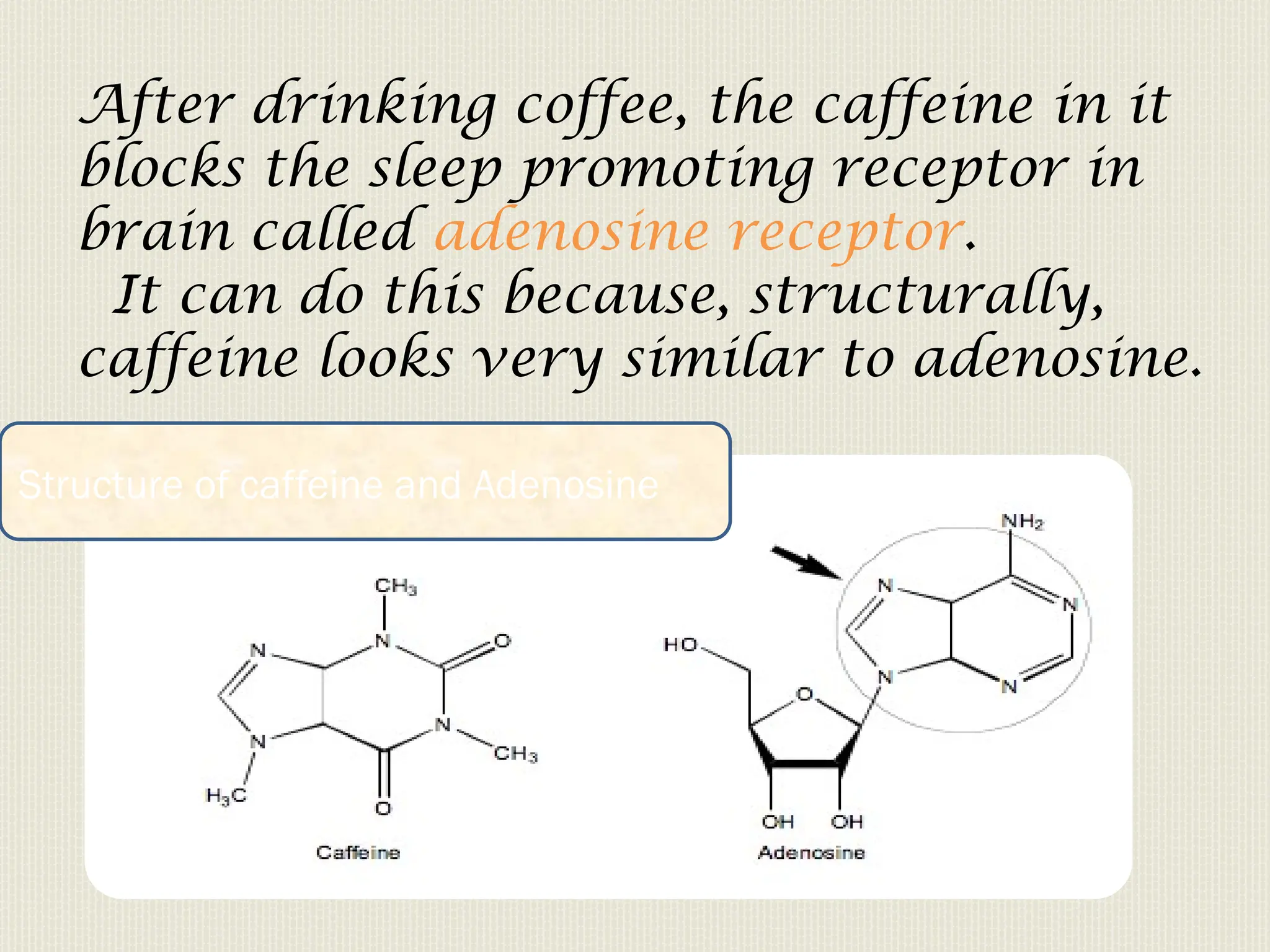 The Chemistry of Coffee , Chemistry behind the cup of a coffee | PPTX