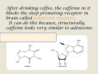 The Chemistry of Coffee , Chemistry behind the cup of a coffee | PPTX