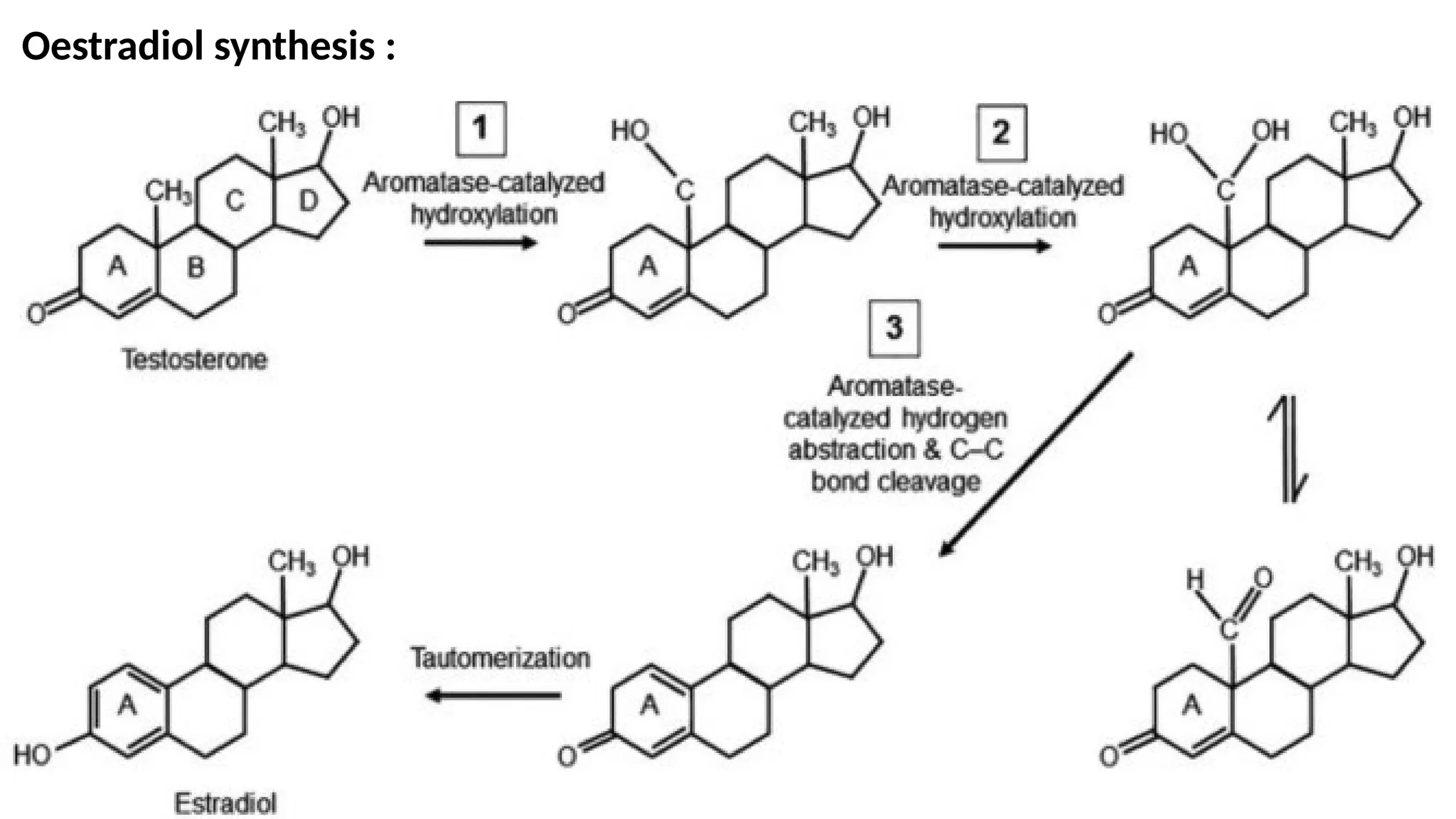 Chemistry of contraceptive agent male and female sex hormone.pptx