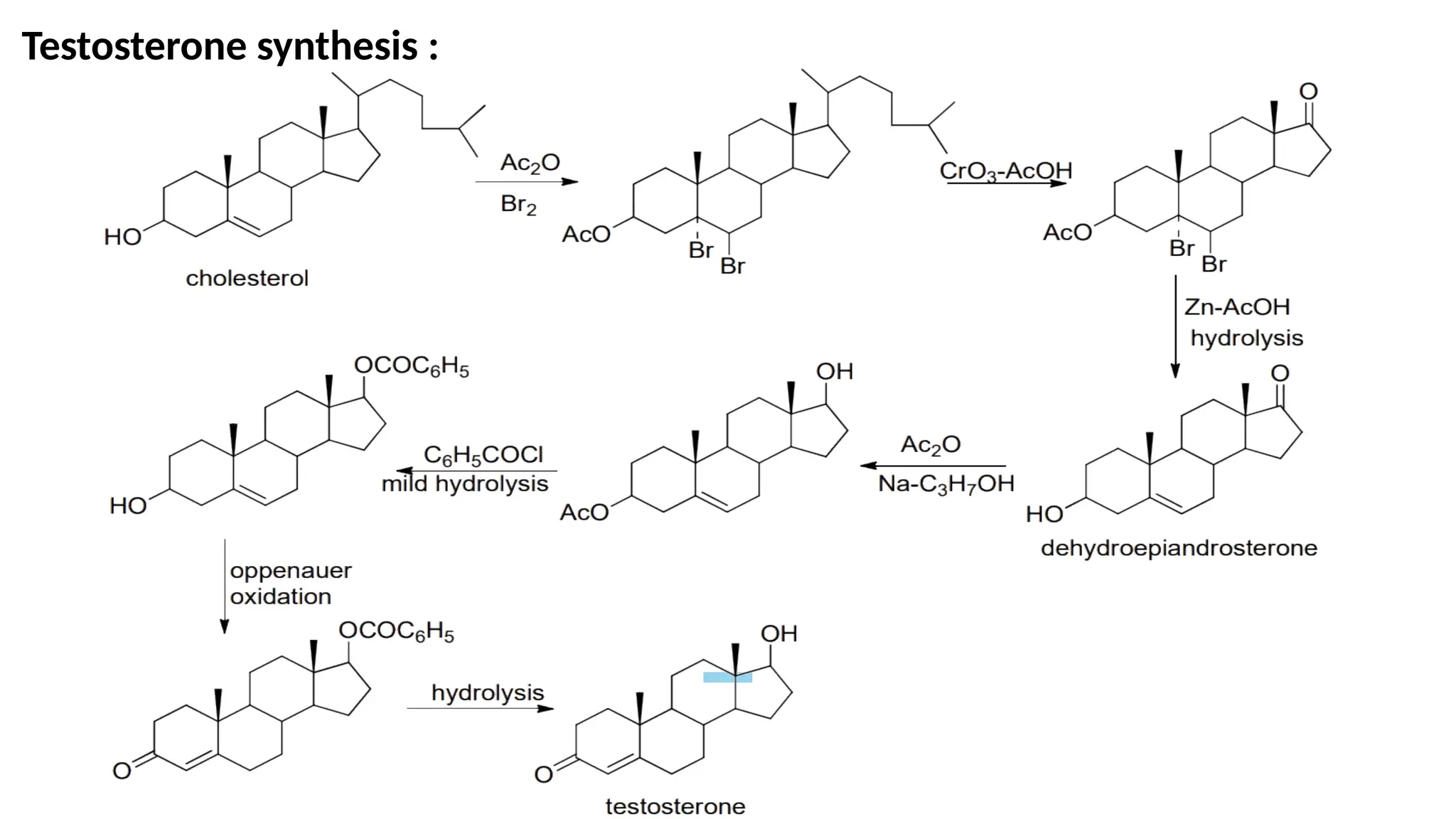 Chemistry of contraceptive agent male and female sex hormone.pptx
