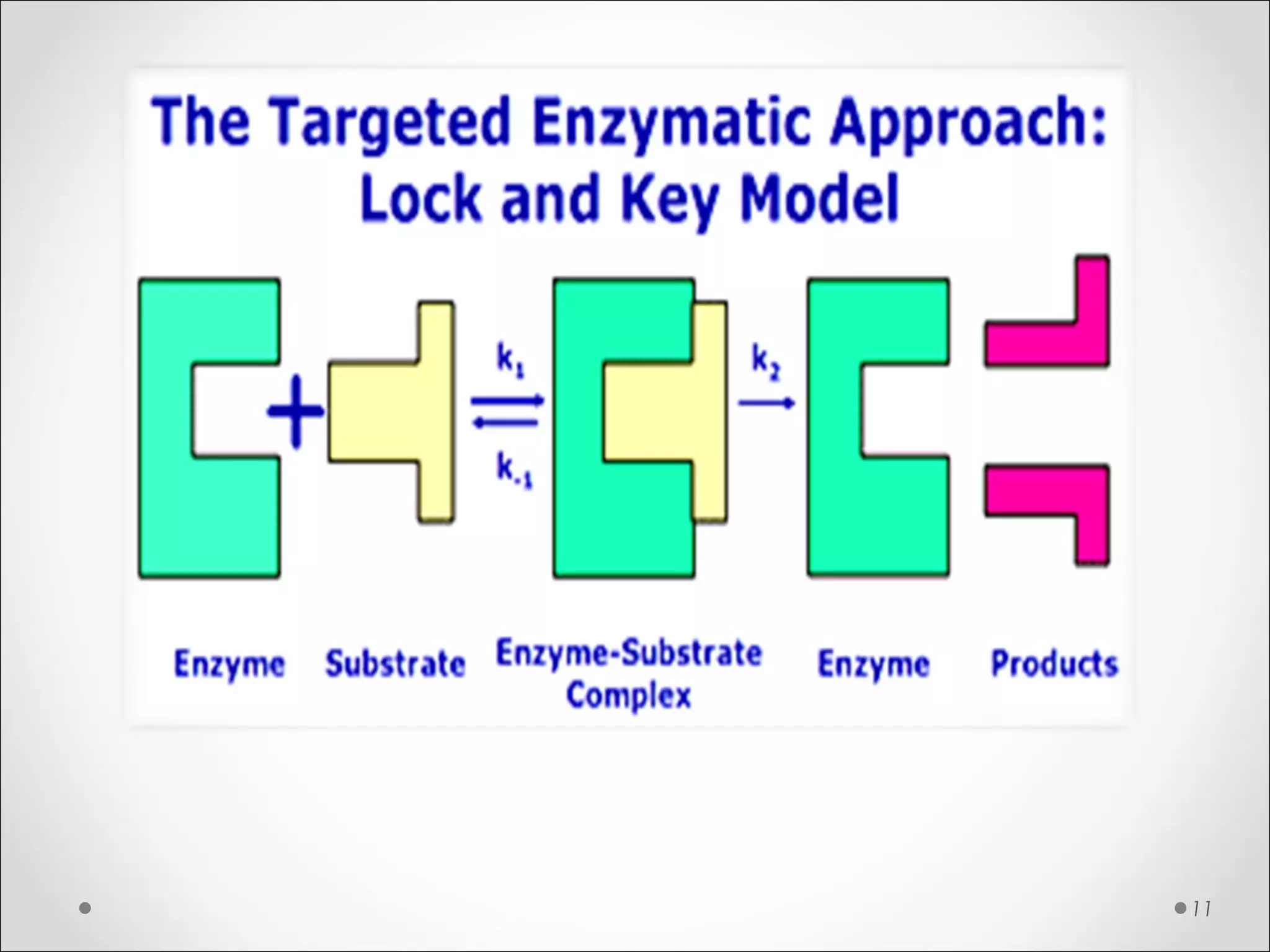 Chemistry of enzyme | PPT