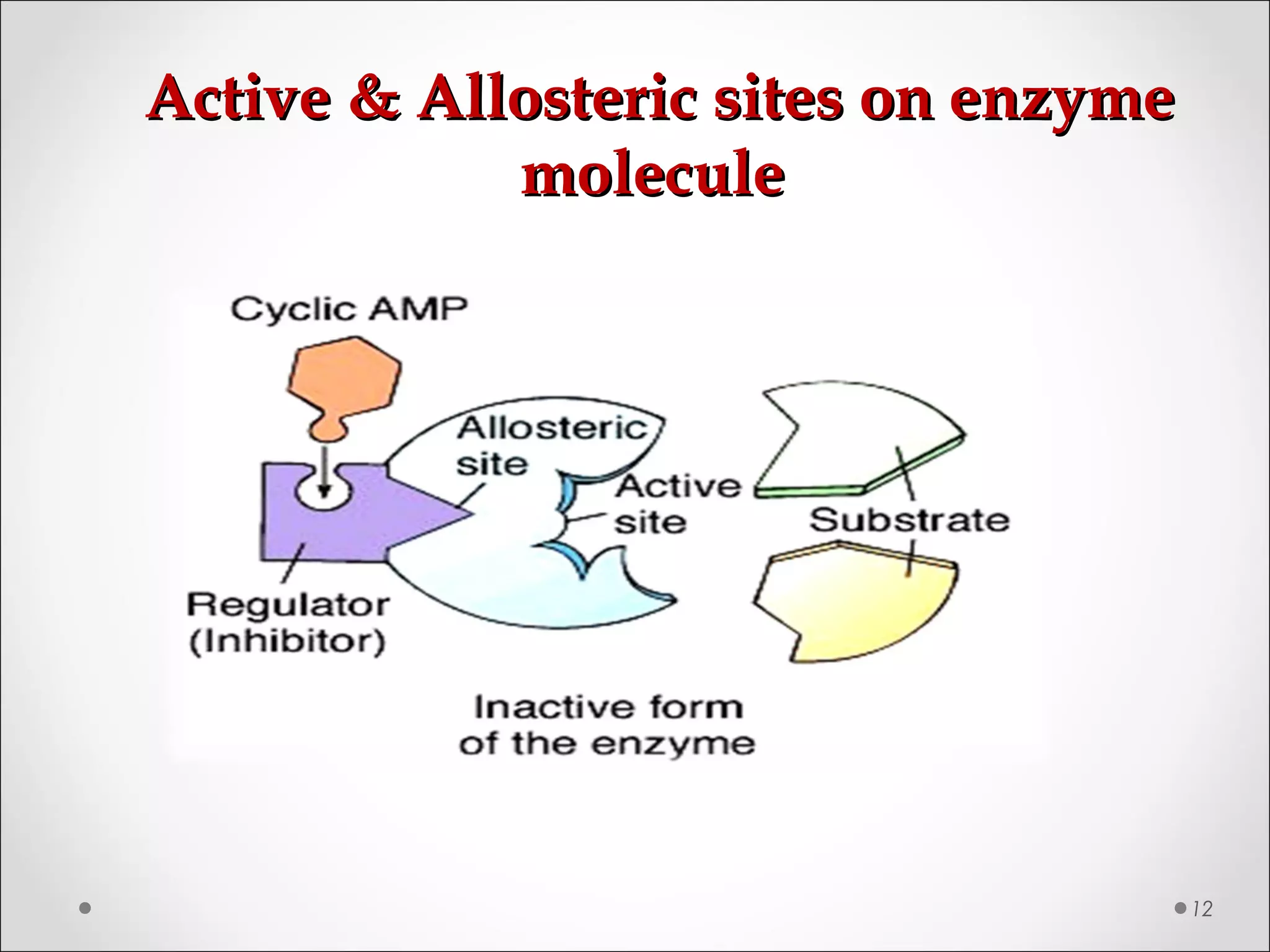 Chemistry of enzyme | PPT