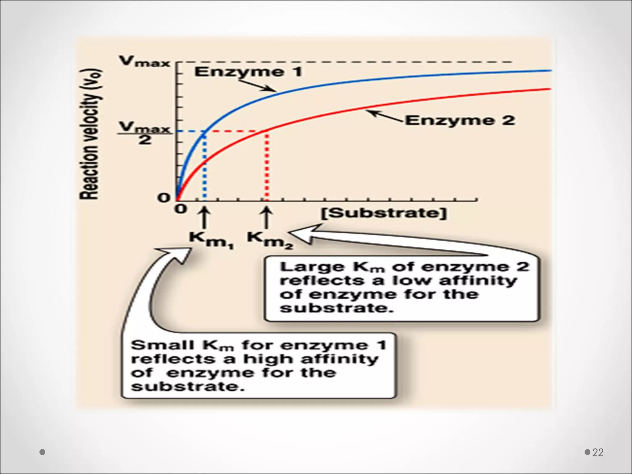 Chemistry of enzyme | PPT