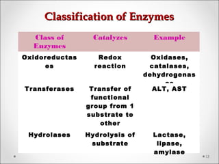 Chemistry of enzyme | PPT | Chemistry | Science
