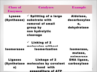 Chemistry of enzyme | PPT | Chemistry | Science