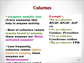 Chemistry of enzyme | PPT | Chemistry | Science