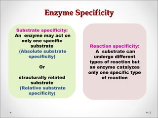 Chemistry of enzyme | PPT | Chemistry | Science