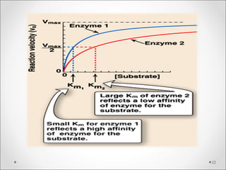 Chemistry of enzyme | PPT | Chemistry | Science
