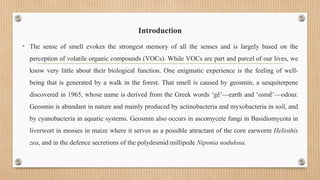 chemistry of geosmin(1).pptx ha jskskskeurndjdjqjdjdjdbdjjdj | PPTX