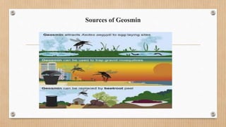 chemistry of geosmin(1).pptx ha jskskskeurndjdjqjdjdjdbdjjdj | PPTX