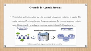 chemistry of geosmin(1).pptx ha jskskskeurndjdjqjdjdjdbdjjdj | PPTX