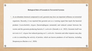 chemistry of geosmin(1).pptx ha jskskskeurndjdjqjdjdjdbdjjdj | PPTX