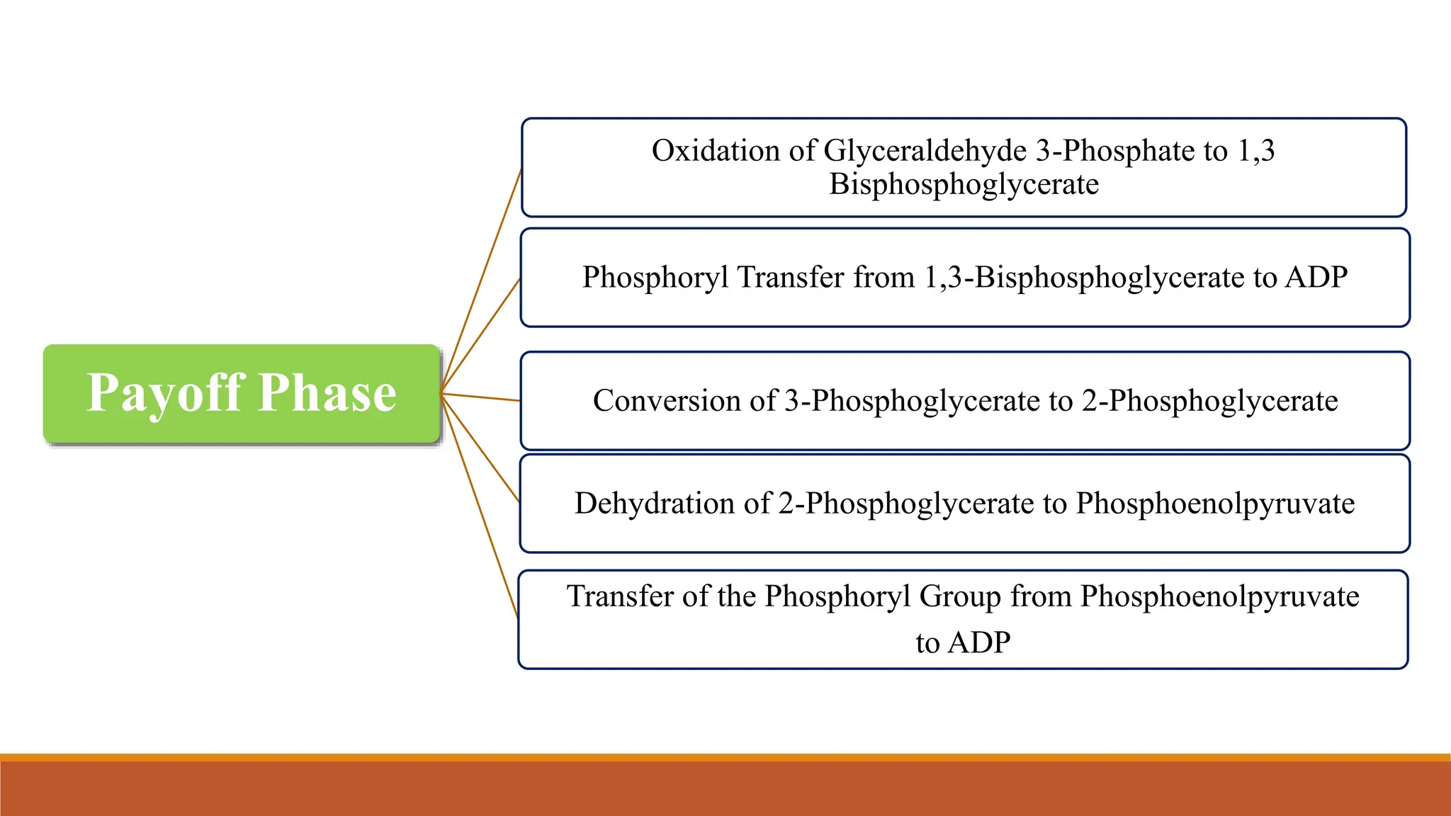 DESCRIBES THE CHEMISTRY OF GLYCOLYSIS.pptx