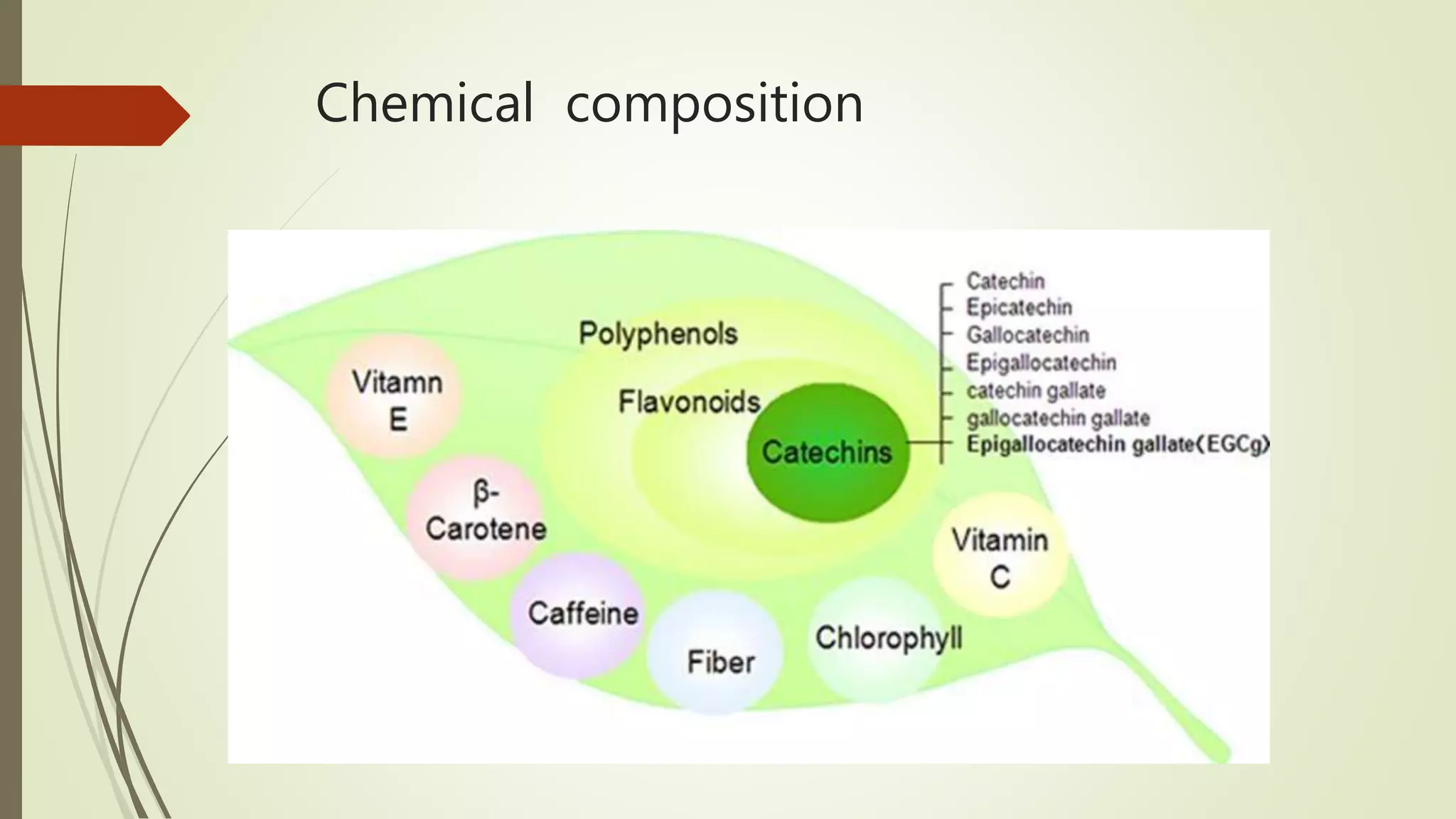 Chemistry of green tea and its applications | PPTX | Chemistry | Science