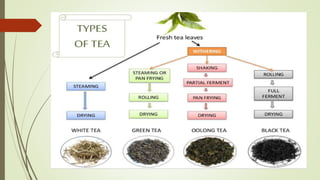 Chemistry of green tea and its applications | PPTX | Chemistry | Science