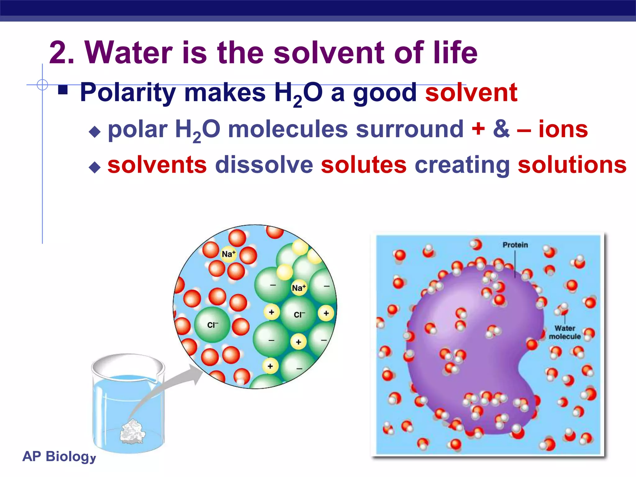 Chemistry of life | PPTX
